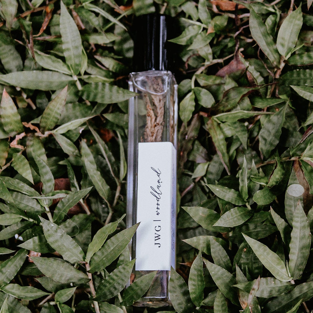 Jess Wandering Goods Woodland Perfume Roller – urban farm collection