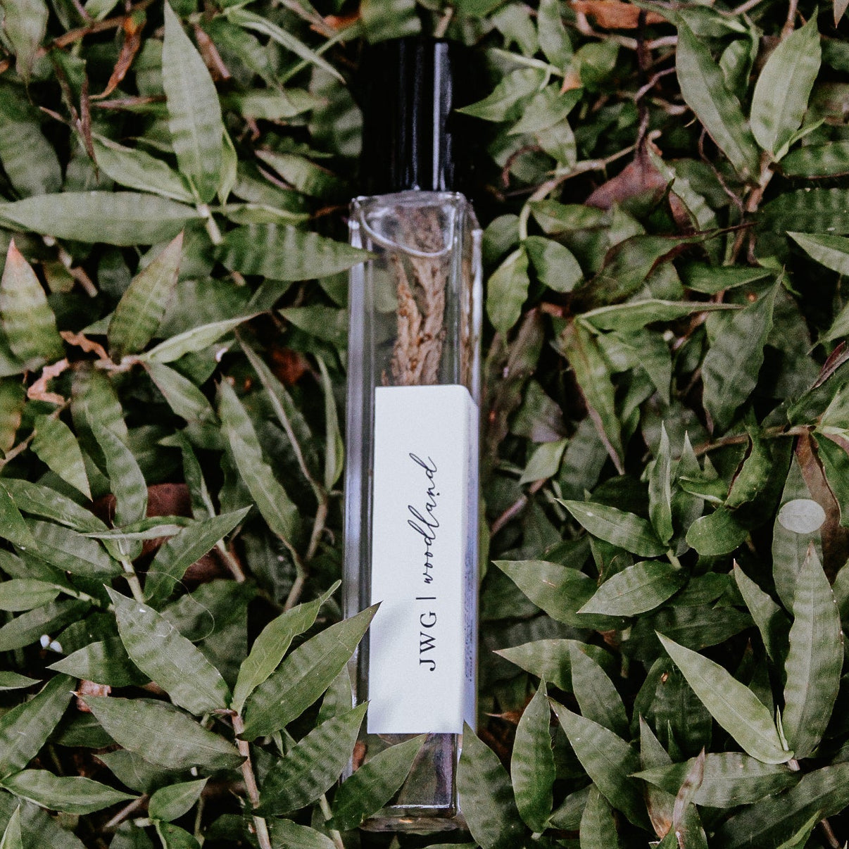 Jess Wandering Goods Woodland Perfume Roller – urban farm collection