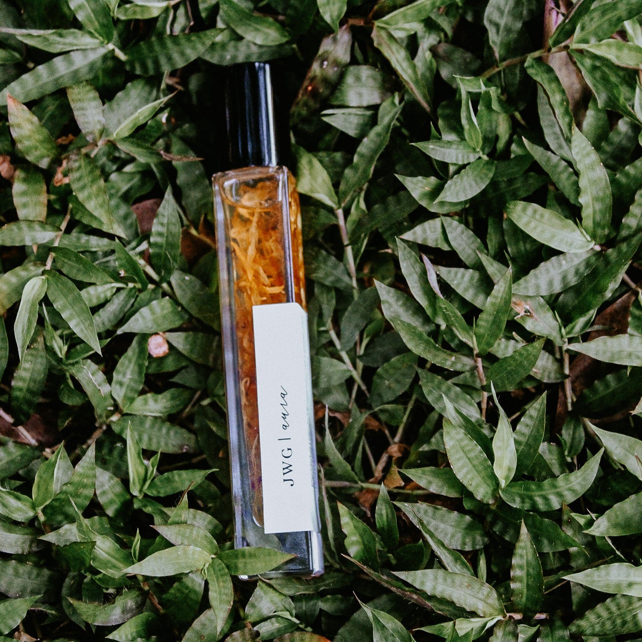 Jess Wandering Goods Aura Perfume Roller – urban farm collection